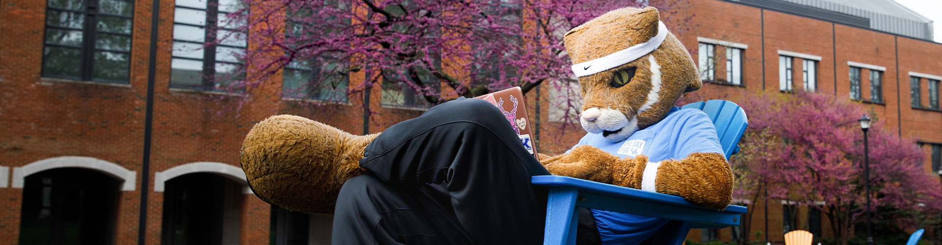 Certificates - University of Kentucky College of Social Work
